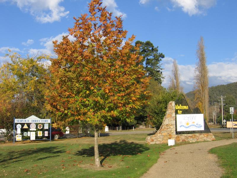 Bright photos - Travel Victoria: accommodation & visitor guide