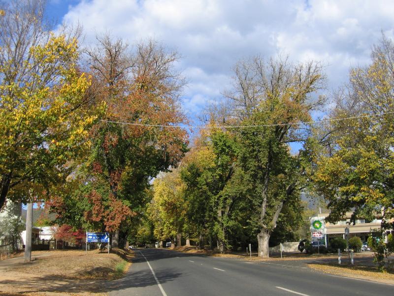 Bright photos - Travel Victoria: accommodation & visitor guide