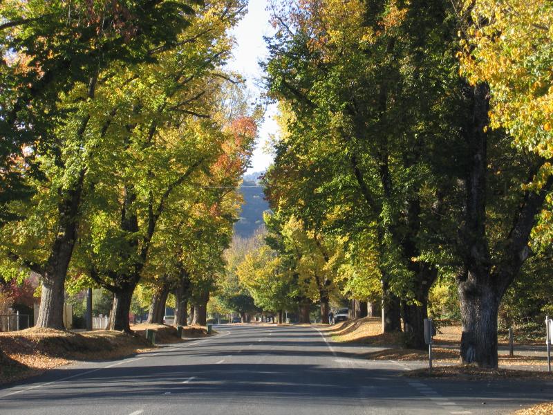 Bright photos - Travel Victoria: accommodation & visitor guide