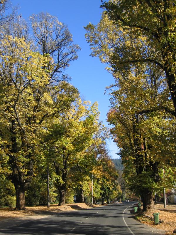 Bright photos - Travel Victoria: accommodation & visitor guide