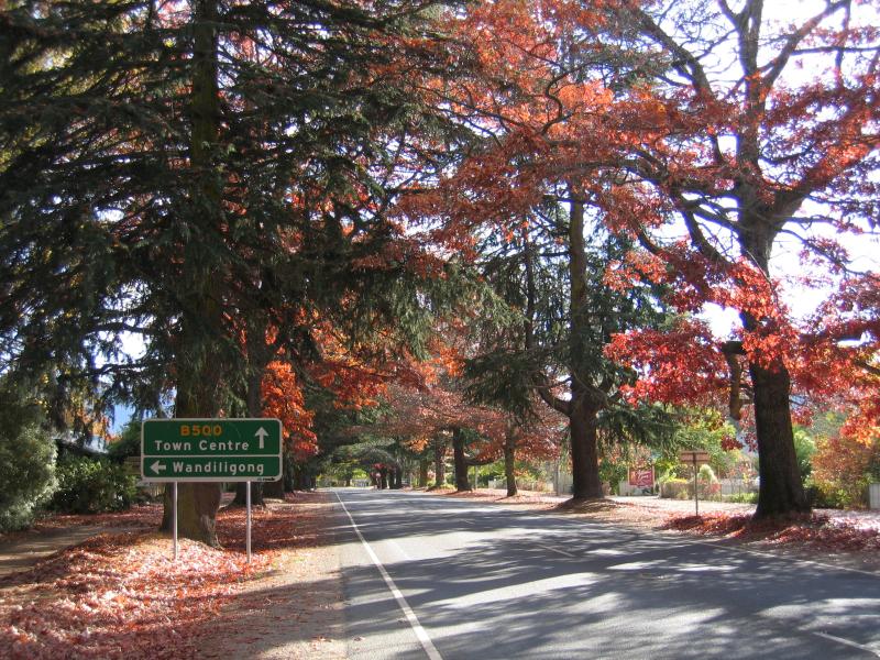 Bright photos - Travel Victoria: accommodation & visitor guide