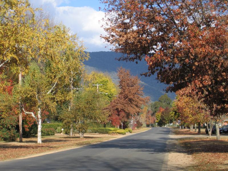 Bright photos - Travel Victoria: accommodation & visitor guide