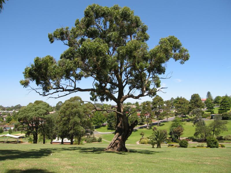 Drouin photos - Travel Victoria: accommodation & visitor guide