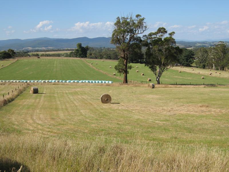 Drouin photos - Travel Victoria: accommodation & visitor guide