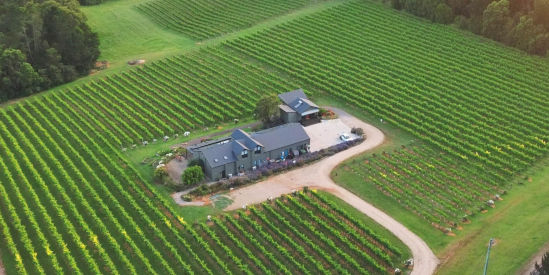 Red Hill wineries breweries produce Travel Victoria accommodation visitor guide