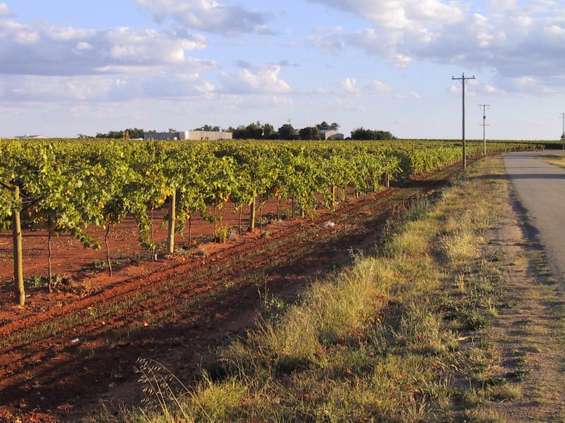 Robinvale photos - Travel Victoria: accommodation & visitor guide