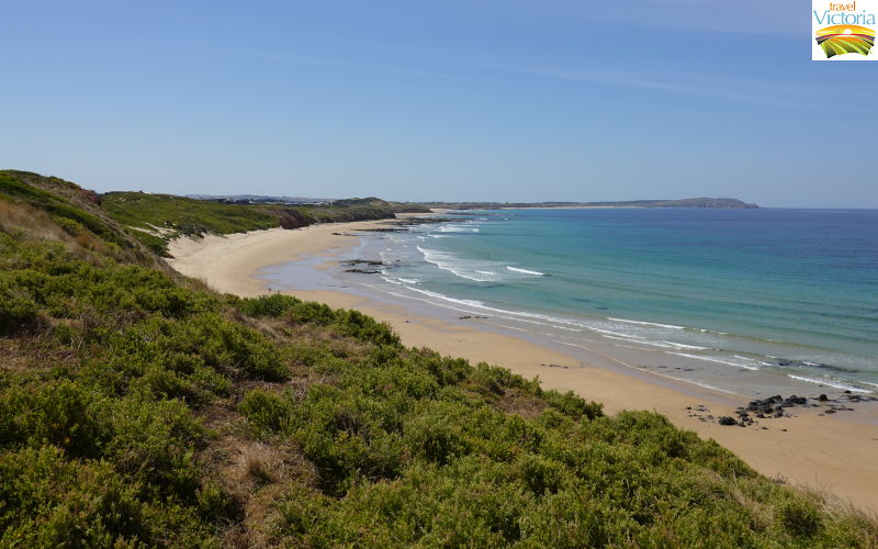 Surf Beach photos - Travel Victoria: accommodation & visitor guide