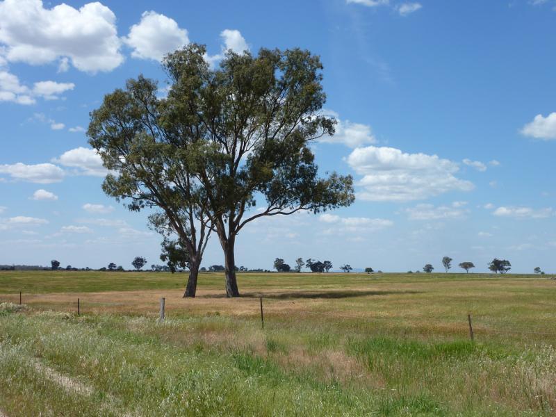 Talbot photos - Travel Victoria: accommodation & visitor guide