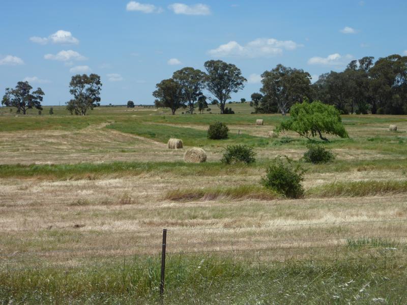 Talbot photos - Travel Victoria: accommodation & visitor guide