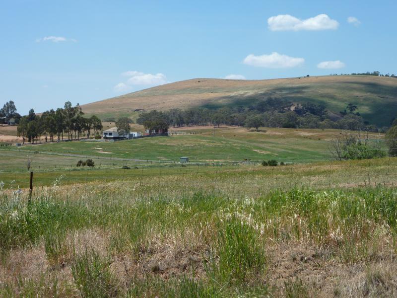 Talbot photos - Travel Victoria: accommodation & visitor guide