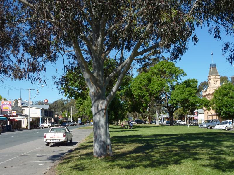 Yea photos - Travel Victoria: accommodation & visitor guide