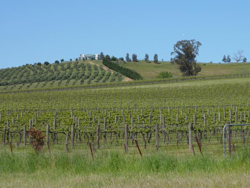 Yea photos - Travel Victoria: accommodation & visitor guide