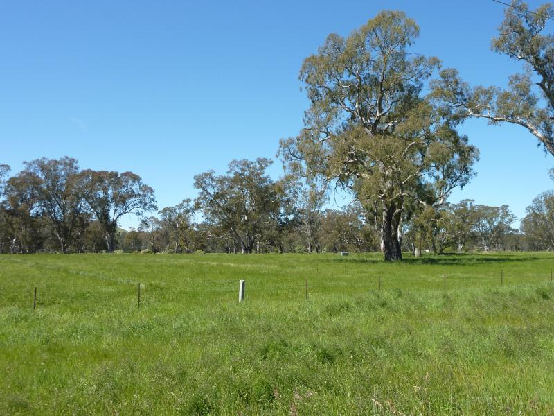 Yea photos - Travel Victoria: accommodation & visitor guide