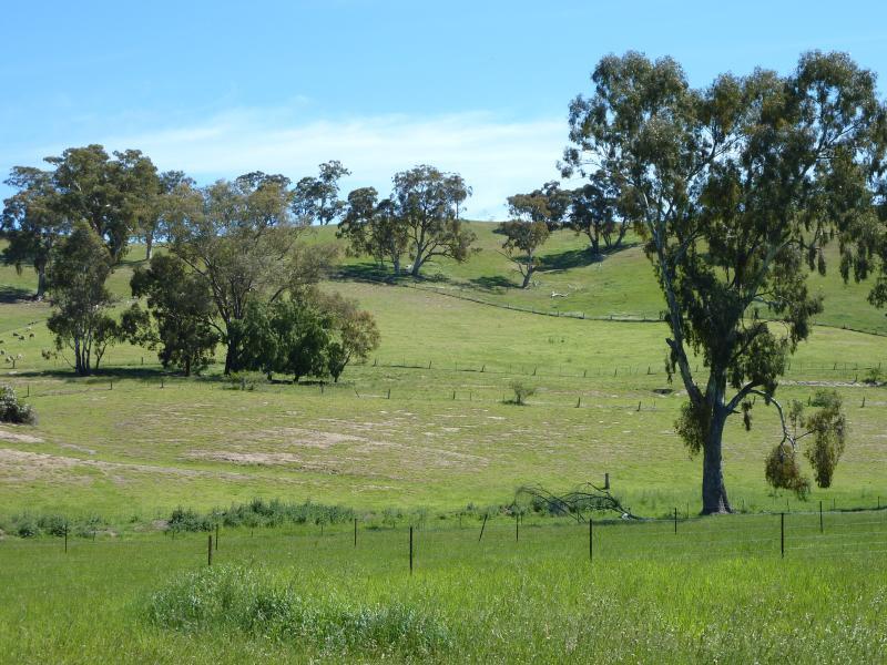 Yea photos - Travel Victoria: accommodation & visitor guide