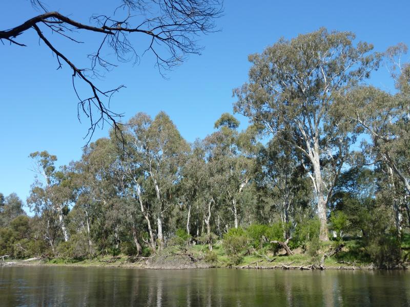 Yea photos - Travel Victoria: accommodation & visitor guide